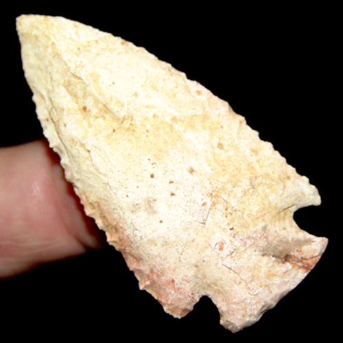 Artifacts Guide- Ace Bolen Plain